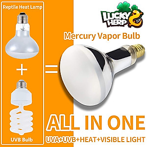 LUCKY HERP 80 Watt UVA+UVB Vapor Heat Lamp Bulb, High Intensity Self-Ballasted Heat Basking Lamp/Bulb/Light for Reptile and Amphibian, Sun Lamp for Bearded Dragon Lizard Turtle