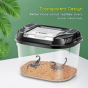 Plastic Reptile Terrarium, Nobleza Reptile Tank with Handle for Lizard Hermit Crab Turtle, Portable Reptile Enclosure for Tarantula Spider Tortoise Cricket, Medium Critter Keeper for Small Animal