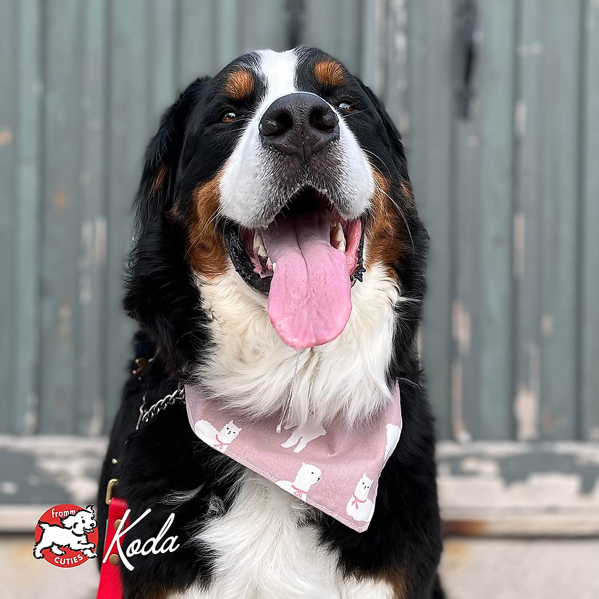 Fromm Gold Dog Food Weight Management (5 Lb)