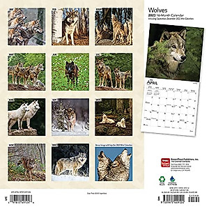 Wolves | 2023 12 x 24 Inch Monthly Square Wall Calendar | Foil Stamped Cover | BrownTrout | Wildlife Animals