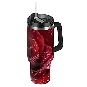 FRCSDIY Beautiful Rose Insulated Tumbler with Handle and Straw Lid,30oz Leakproof Stainless Steel Cup BPA-Free Water Bottle