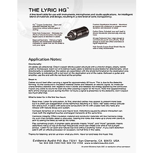 Evidence Audio LYHGSS10 Lyric Instrument Cable, 10-foot