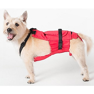 Dog Diaper Wrap SMALL (LONG) BLUE