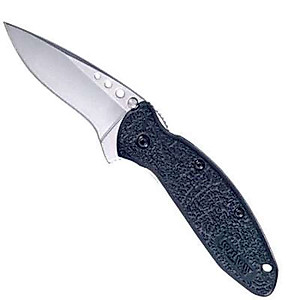 Kershaw Scallion Pocketknife, 2.4" Bead-Blasted 420HC Steel Drop Point Blade, Assisted Open with Flipper, Liner and Tip Lock, Single-Position Pocketclip,Black & Silver