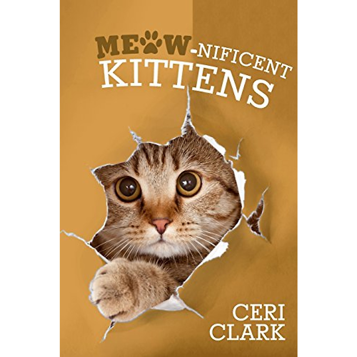 Meow-nificent Kittens: The Secret Personal Internet Address & Password Log Book for Kitten & Cat Lovers (Disguised Password Books)