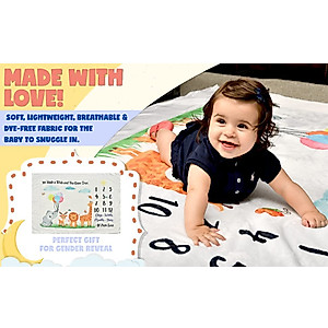 BABYFEFE Baby Monthly Milestone Blanket - Jungle Safari Milestone Blanket, Boy & Girl, Unisex Nursery Decor 60x40 Photography Backdrop