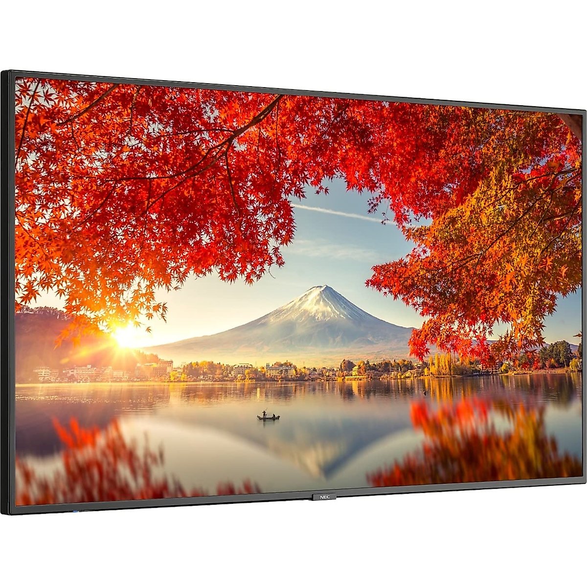 NEC MA551 MultiSync - 55 inch Diagonal Class MA Series LED-Backlit LCD Display - Digital Signage - 4K UHD (2160p) 3840 x 2160 - HDR - Edge-lit - Black