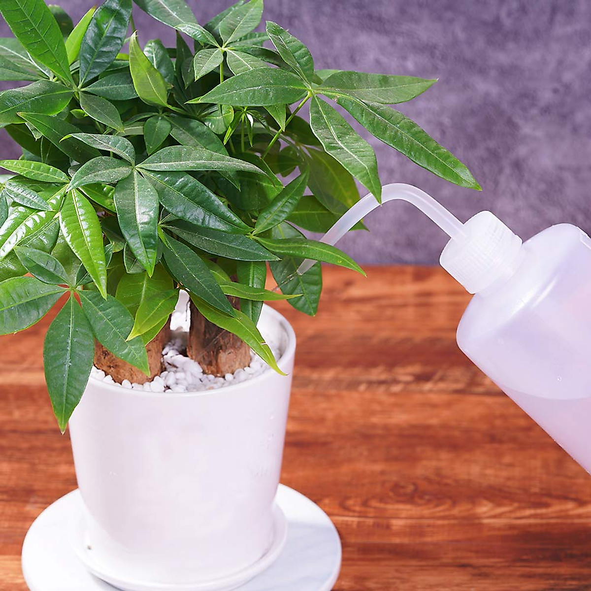 CVNDKN Wash Bottles,3pcs 500ml Plastic Safety lab Wash Bottle,Squeeze Bottle with Scale -16 oz