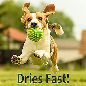 Just For Pets Weed Killer Spray (2.5 Gallon) NO Glyphosate