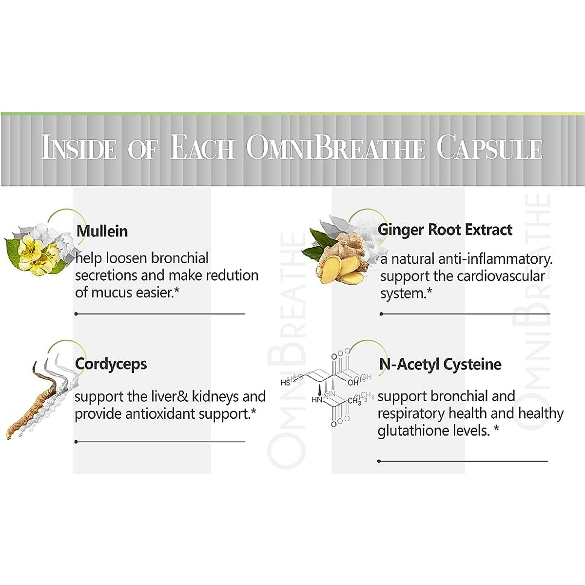 Asthma Relief,Bronchial Health,Lung Cleanse and Detox by OmniBreathe,30-Day Respiratory Wellness Supplement,Naturally Reduce Cough & Clear Mucus/Phlegm for Smokers in 24H,60 Veg Capsules(Read Reviews)