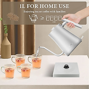 Gooseneck Electric Kettle Fabuletta 1500W Ultra Fast Boiling Water Kettle 100% Stainless Steel for Pour-over Coffee & Tea Leak-Proof Design French Press Boil-Dry Protection 1L (FKT003 Light Grey)