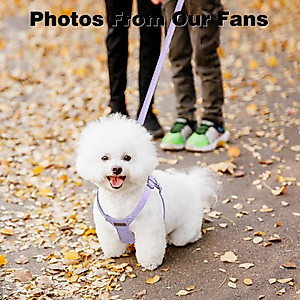 Dog Harness and Leash Set, XS No Pull Adjustable Puppy Harness with Multifunction Purple Dog Leash and Collar, Soft No Choke Escape Proof Pet Harness Vest for Small Dogs and Cats (Purple, XS)