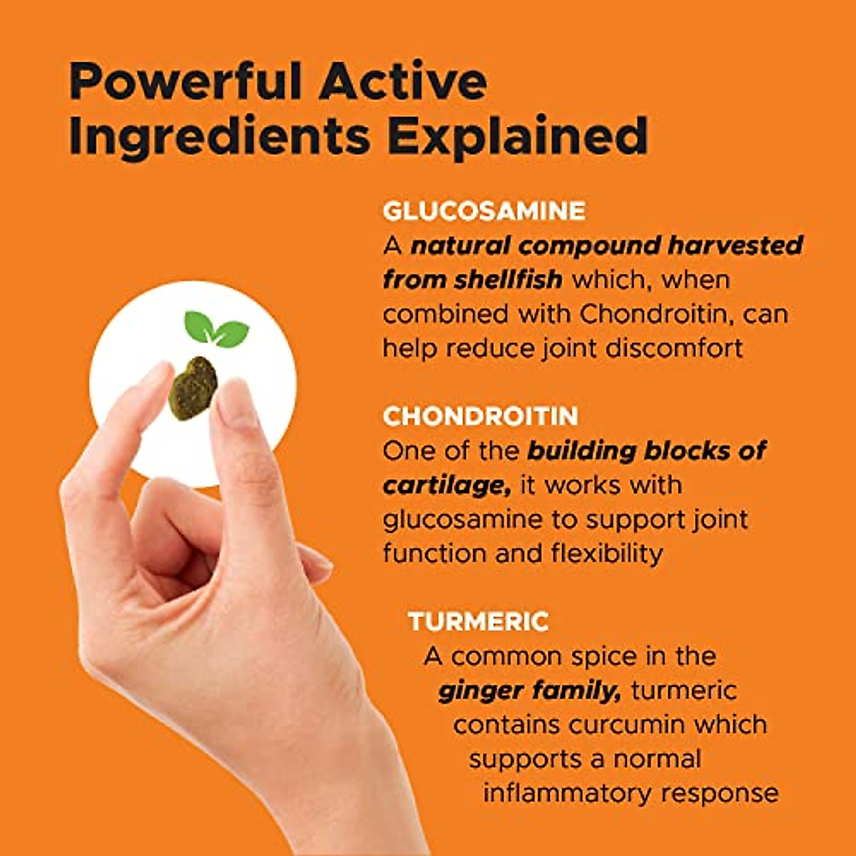 Pet Honesty Hip & Joint Health - Dog Joint Supplement Support for Dogs with Glucosamine Chondroitin, MSM, Turmeric - Glucosamine for Dogs Soft Chews - Advanced Pet Joint Support and Mobility - 2 Pack