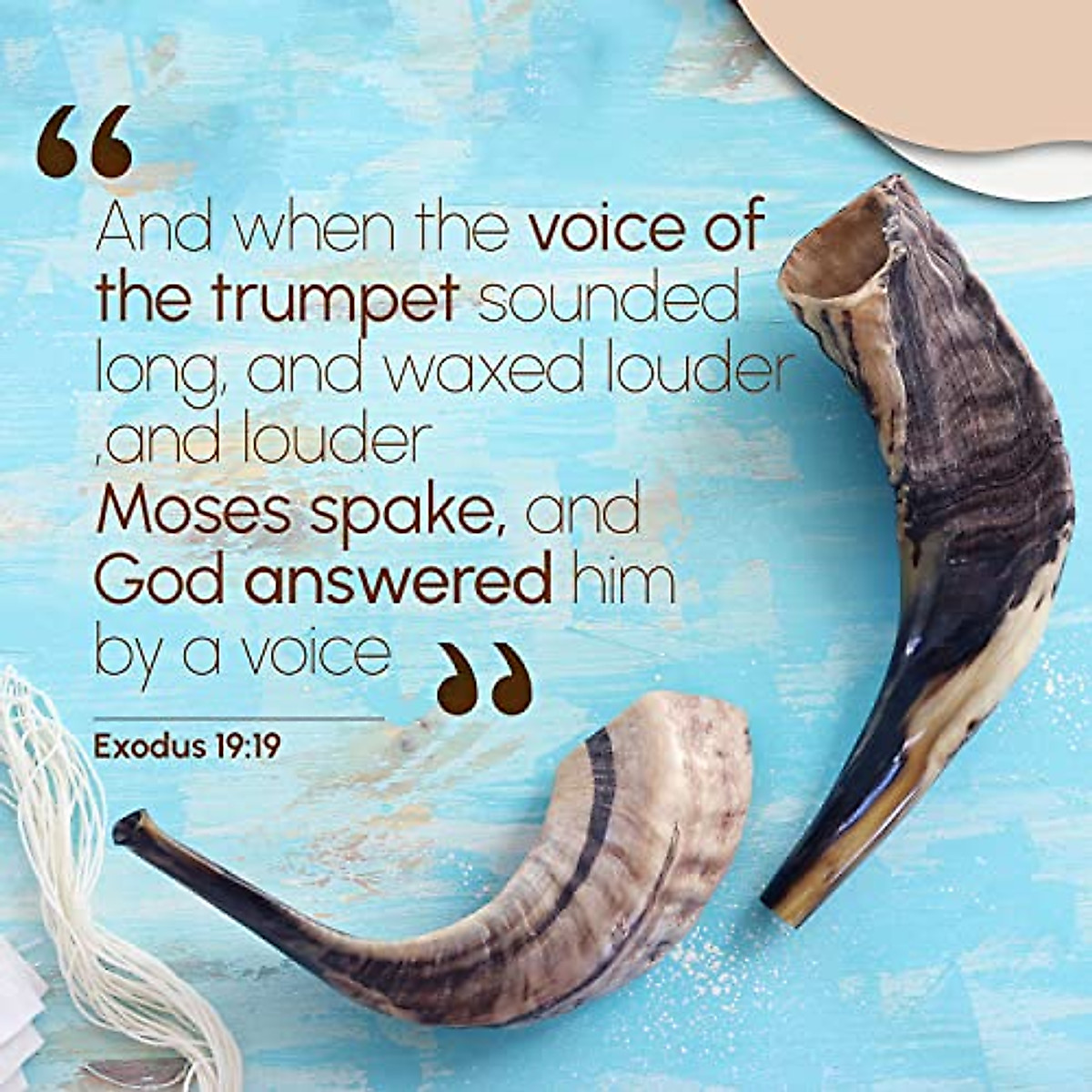 Traditional Shofar from Israel, Jewish Natural Musical Instrument, Clear Sounding Authentic Horn Shofar, Beautiful Sounding Shofar, Polished Ram Horn Shofar (10"-12")
