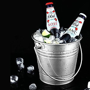 DOITOOL Stainless Steel Ice Bucket Small Metal Buckets Champagne Wine Bucket Small Pails with Handles for Party Favors Candy Centerpieces Bar Supplies Without Borneol
