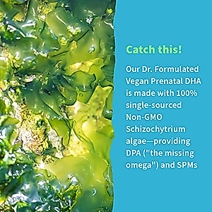 Garden of Life Dr. Formulated Prenatal Vegan DHA - Certified Vegan Omega 3 Supplement with 400mg DHA + DPA from Algal Omega 3 in Triglyceride Form, Non-GMO Algae Omega 3 for Vegans, 30 Softgels