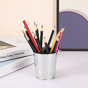 Didaey Mini Metal Buckets with Handles Galvanized Buckets 3.15 Inch Mini Container Pails for Metal Tin Plant Holder Pail for Wedding Decoration Party Favor(Silver,28 Pcs)