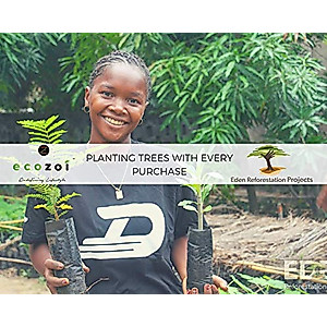 ecozoi Stainless Steel Lunch Box, Leak Proof Metal Bento Box with 3 Compartments, 35 Oz Bento Box, BPA Free Meal Prep Food Container | Bonus 50 ml Sauce Container