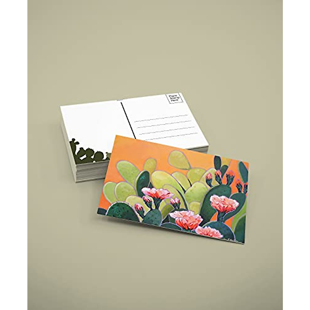 Stonehouse Collection Cactus Postcards - 4 x 6 Western Desert Postcards - 40 Postcards, 4 Different Cacuts Designs