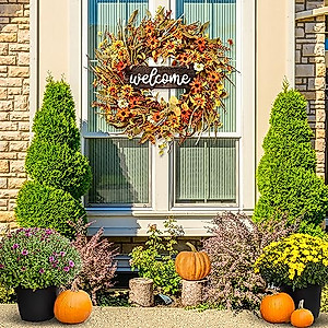 Sggvecsy Artificial Fall Wreath 22’’ Autumn Front Door Wreath Harvest Wreath with Orange Daisy Ear of Wheat Mixed Flowers and Leaves for Outside Indoor Wall Window Festival Thanksgiving Autumn Decor