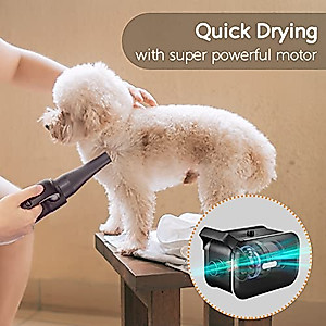 LMVVC Dog Blower Grooming Dryer with Remote Control Handle Dog Hair Dryer Dog Dryer Pet Blower with Adjustable Airflow Speed and Temperature and Anion