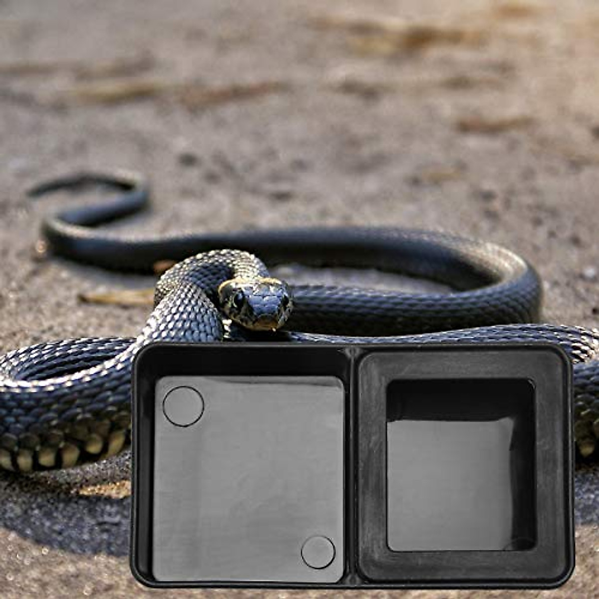 POPETPOP 4pcs Reptile Food Bowl Lizard Gecko Food Water Dish Bearded Dragon Feeding Dish Worm Plate for Small Reptile