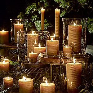 Hand Rolled Beeswax Pillar Candles by Little Bee of Connecticut (6 x 5 Inch Triple Wick)