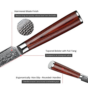 YARENH Kitchen Knife,Fruit Knife 5 inch,Damascus Steel Blade,High Carbon,67 Layers,Full Tang,Kitchen Utility Knife for Professional Chef,Pakka Wood Handle,Gift Box Packaging, HYZ-Series
