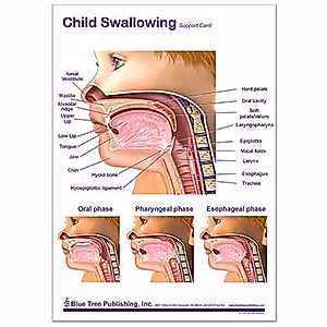 Child Swallowing Support Card