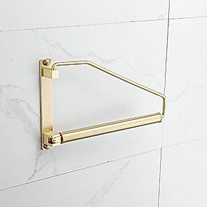 Hiendure Folding Clothes Hanger Gold Brushed Drying Clothes Rack Wall-Mounted Space Saver for Laundry Room Closet, Brass, 12 Inch