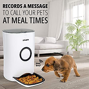 Pawple Automatic Pet Feeder Food Dispenser for Cats, Dogs, Small Animals - Features Distribution Alarms, Portion Control & Voice Recording -Programmable Timer Up to 4 Meals a Day