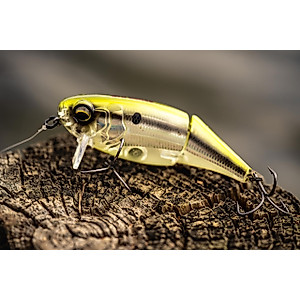 6th Sense Fishing Speed Wake (Live Shiner)