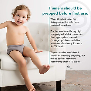 Kanga Care Ecoposh OBV Reusable Pull Up Toddler Underwear Potty Training Pants | Boysenberry Medium 2T/3T