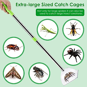 Saillong 1 Pack Large Spider Insect Catcher with Long 31'' Handle, Contactless Spider Grabber Removes Release Spiders and Insects, Spider Catchers for Home Kid Nature Explore