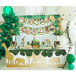 JeVenis Jungle Gold Monthly Photo Banner Wild One Monthly Photo Banner Safari First Birthday Banner Monthly Photo Banner Zoo Jungle Banner