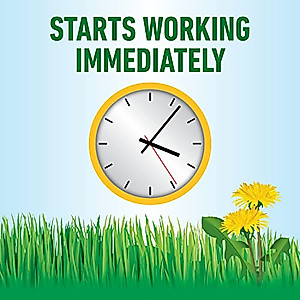 Roundup for Lawns₁ Ready-to-Use - Tough Weed Killer for Use On Northern Grasses, Extended Reach Wand, 1.33 gal.