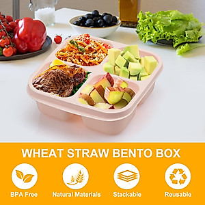 HOUPEACE Snack Containers,4 Pack Reusable Divided 4 Compartment Meal Prep Containers Snack Box Container for Snacks,Fruits,Nuts,Cookies,Candies, Pink