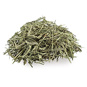 Field+Forest by Kaytee 1st Cut Timothy Hay 90 Ounces