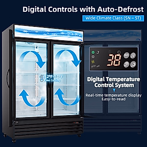 JAE Double Doors Merchandiser Refrigerator, Low-E Tempered Glass Display Refrigerator, Auto-defrost Upright Beverage Cooler w/Digital Temp. Control, R290 Eco-friendly Compressor, ETL, 31.1 Cu. Ft