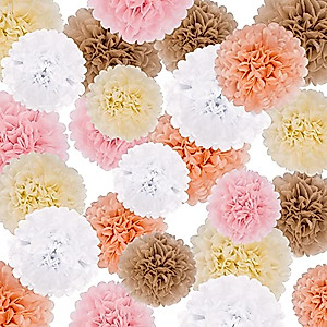 25PCS Tissue Paper Pom Poms Pink Paper Flowers DIY Paper Craft Decorations for Baby Shower Party Decorations, Birthday Party, Wedding Decor, Valentines Day, Bridal Shower Decorations-Pink mix