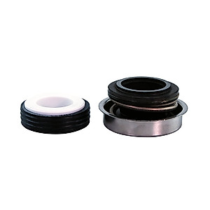Pentair 071734S Seal Kit Replacement for Pool and Spa Pump