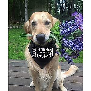 Engagement Gift, My Humans are Getting Married Dog Bandana Collar, Wedding Photo Prop, Pet Scarf, Dog Engagement Announcement, Pet Accessories (Medium, Black+White)