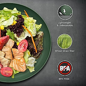 Yemyep Wheat Straw Plates 9 Inch Dinner Plates Set of 8, Microwave&Dishwasher Safe, Unbreakable Plastic Plates, Reusable, Lightweight Plates for kitchen, camping, Party(Beige)