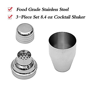 Delidge Cocktail Shaker Small Martini Shaker Stainless Steel Small Drink Shaker with Strainer and Lid Top, Mini Martini Shaker Bar Shaker (8.4oz/250ml，small) Shakers Bartending