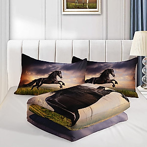BSNTHO Horse Duvet Set Full Size,Wild Animal 3 Piece Bedding Set,Galloping Black Horse Comforter with Pillow Shames, for All Seasons, Ultra-Soft, Lightweight, Breathable