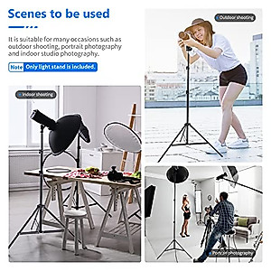 Neewer 75"/6 Feet/190CM Photography Light Stands for Relfectors, Softboxes, Lights, Umbrellas, Backgrounds