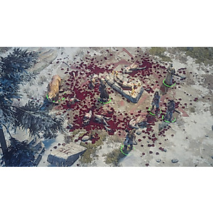 Pathfinder: Wrath of the Righteous - PlayStation 4