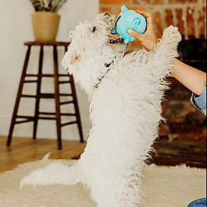 Playology Puppy Dog Ball for Sensory Development | Medium Sized Stuffed Chew Toy with Squeaker for Puppies up to 50lbs | Engaging All-Natural Peanut Butter Scented Sensory Toy