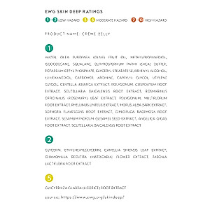 NOTHING FITS BUT Crème Belly Botaniceutical Maternity Herbal Vegan Cream for Stretch Marks Cream for Pregnancy with Rosemary, Green Tea and Chamomile Extracts (6.8 fl oz / 200ml)