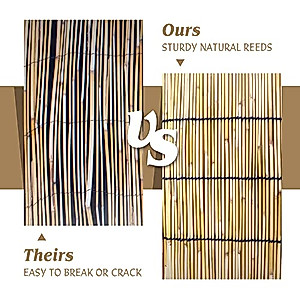 Tgzwme Natural Reed Fence Roller Blind,6FT X 16.4FT Bamboo Fencing Privacy Reed Screening for Outdoor, Gallery, Restaurant, Hotel, Patio